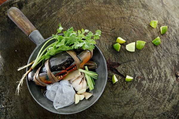 SDS Foods - Premium Seafood Processing & Bulk Delivery | AP & Telangana